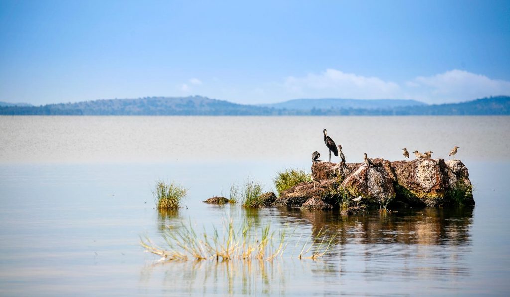 1 Day Best Ssese Island Visit Uganda Safari 2022/2023.